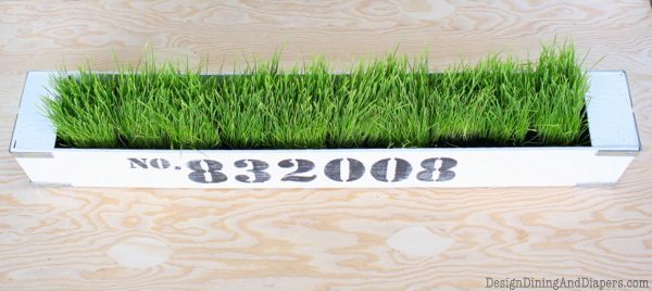 DIY Wheatgrass Planter - Taryn Whiteaker Designs