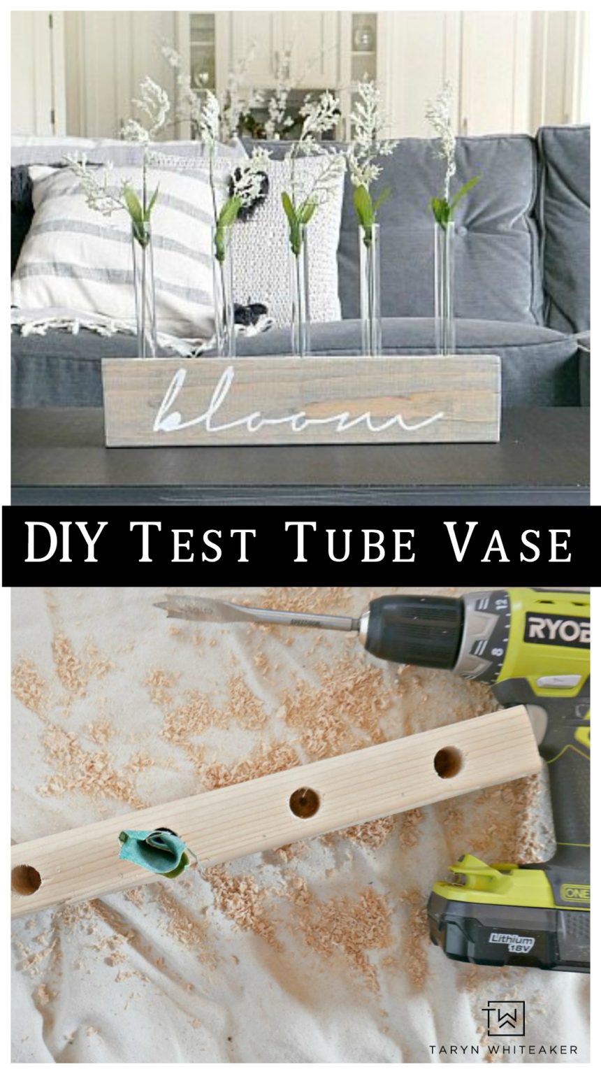 2x4 Challenge: Test Tube Vase Display - Taryn Whiteaker Designs