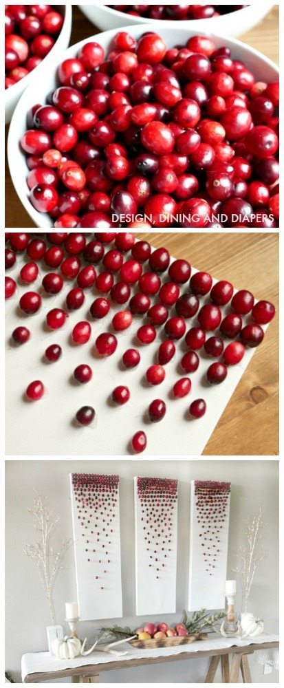 DIY Cranberry Decor - Taryn Whiteaker Designs