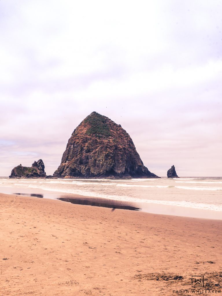 Visiting Seaside Oregon - Taryn Whiteaker Designs