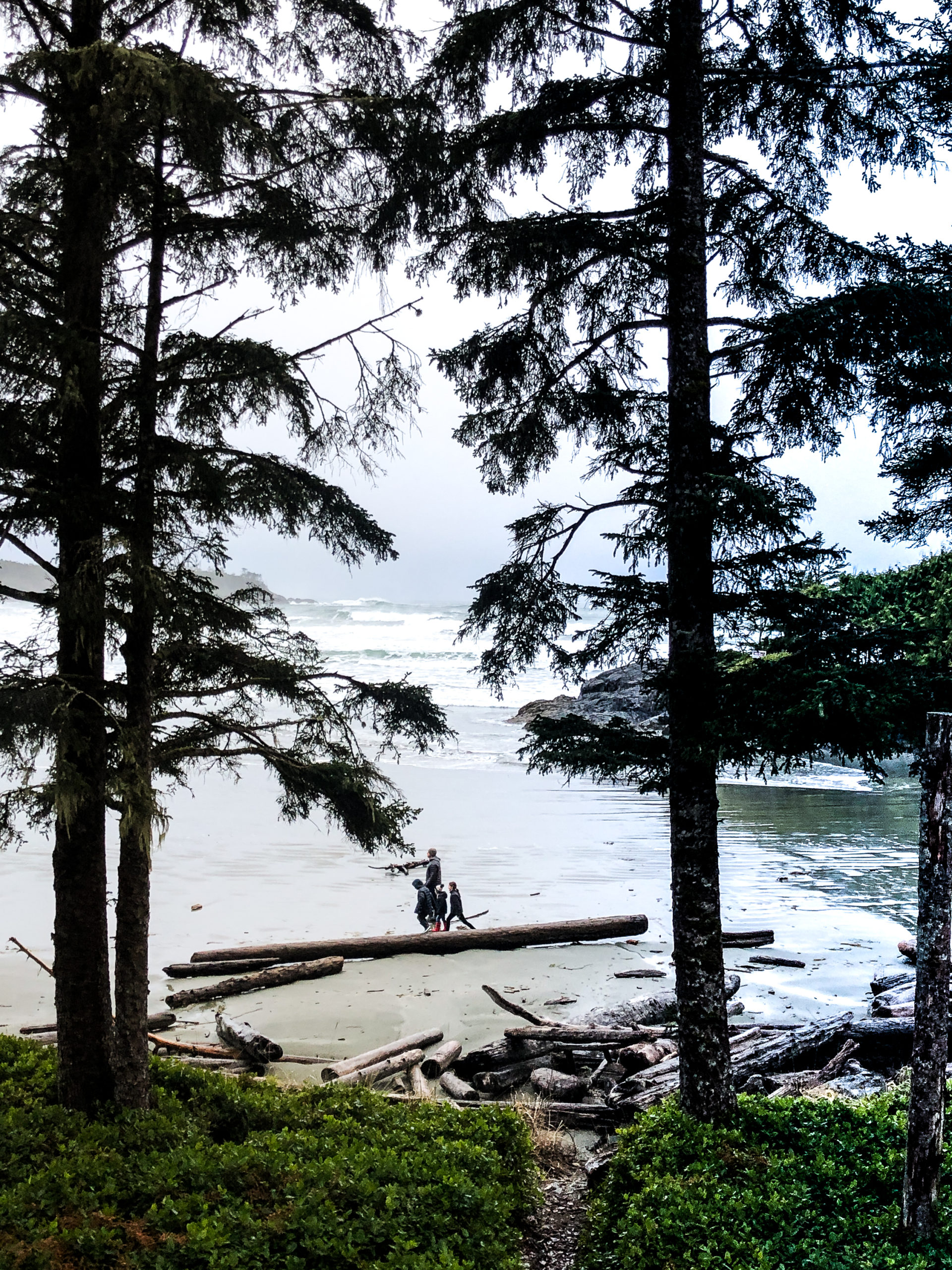 Visiting Pacific Sands In Winter - Taryn Whiteaker Designs