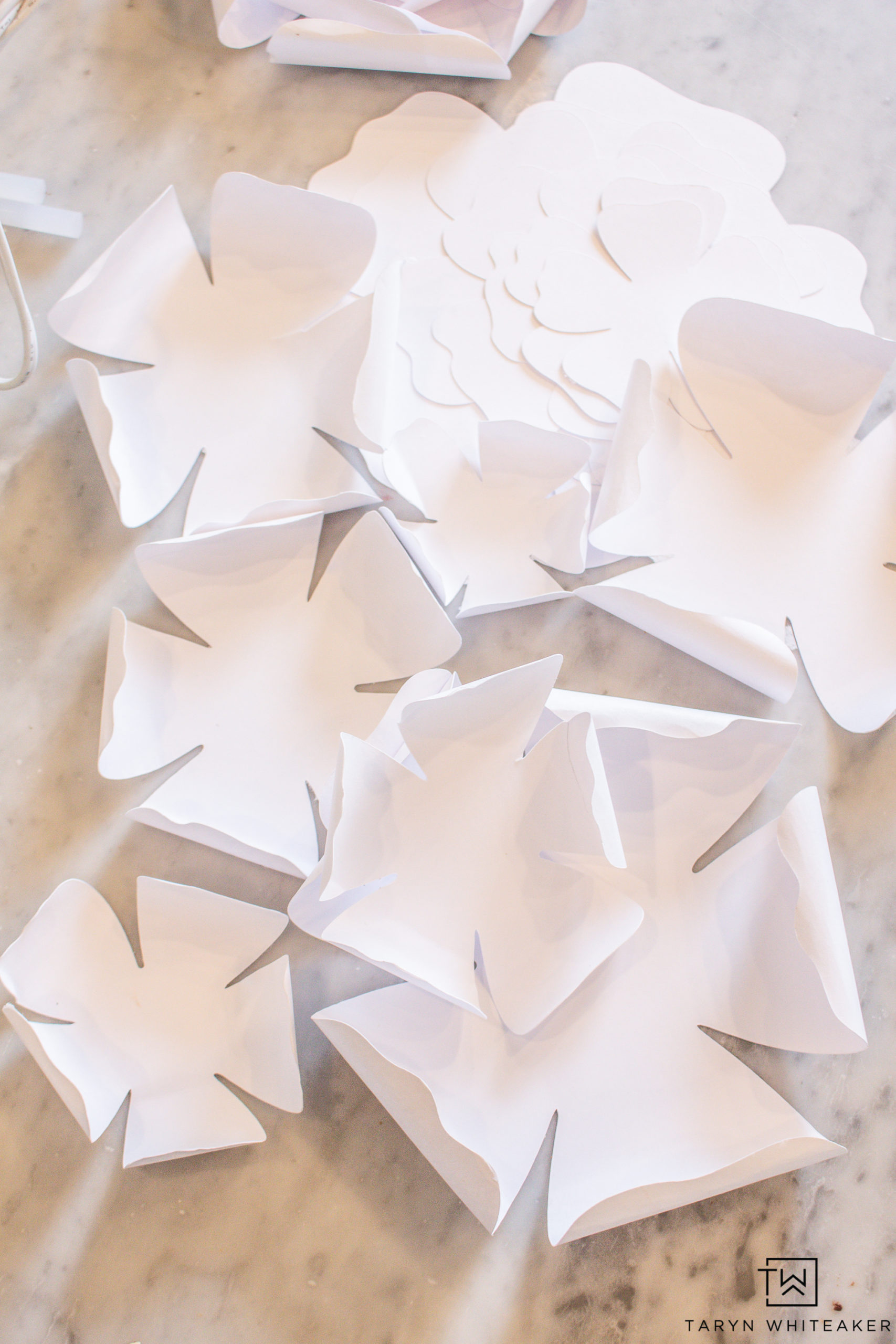 DIY Paper Peonies - Taryn Whiteaker Designs